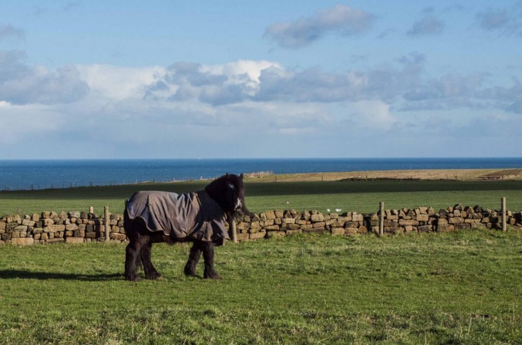The Secrets of the North York Moors - GLOBAL GREY NOMADS