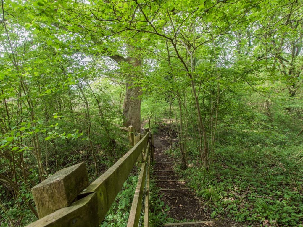 Itchen Valley Nature Reserve - GLOBAL GREY NOMADS