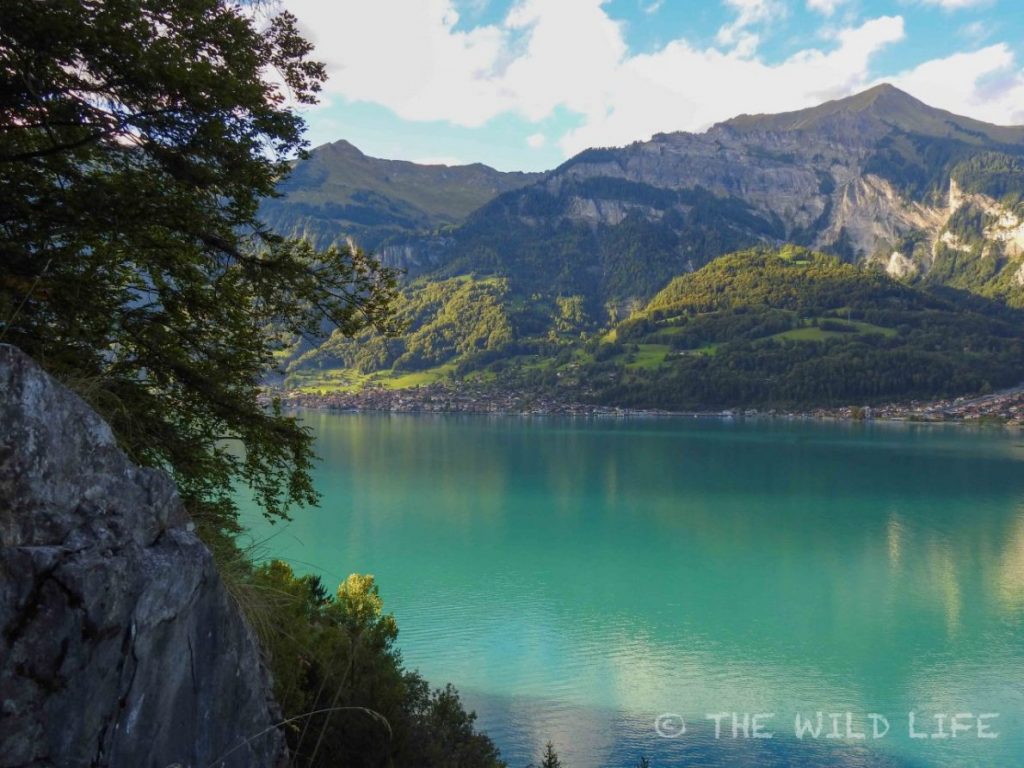 Wo sich die Alpen aus dem See erheben Brienz, Schweiz - GLOBAL GREY NOMADS