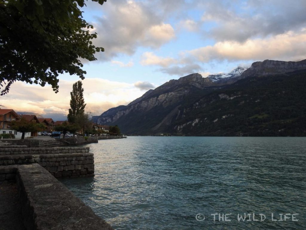 Where The Alps Dip Their Feet In The Lake Brienz, Switzerland - GLOBAL ...